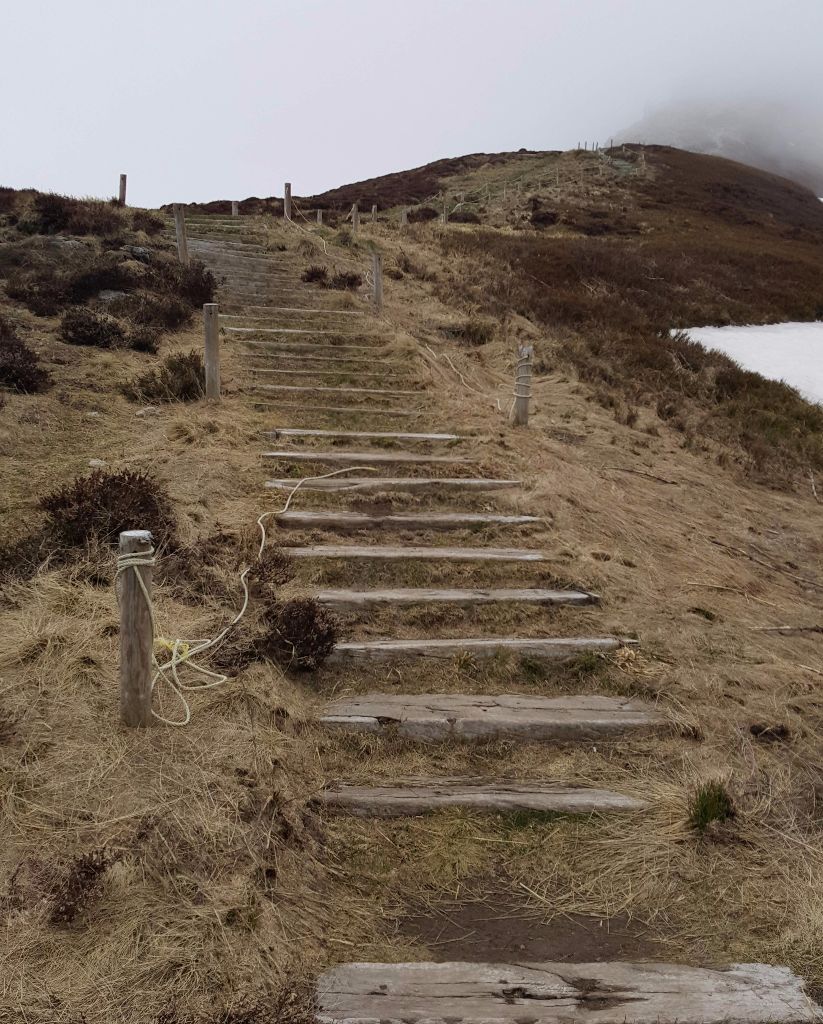 pastourelle-12 - Passion Trail