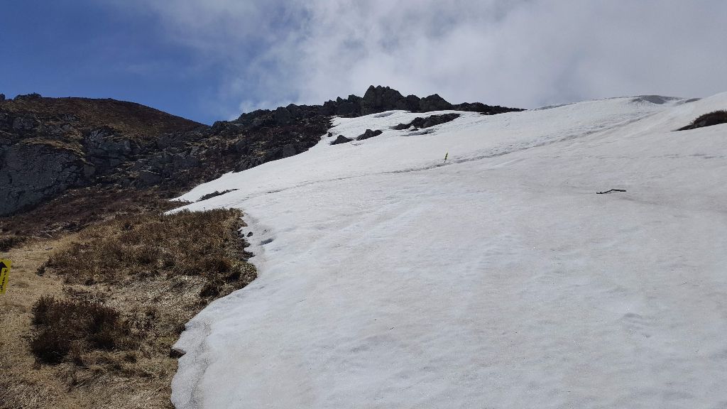 pastourelle-14 - Passion Trail